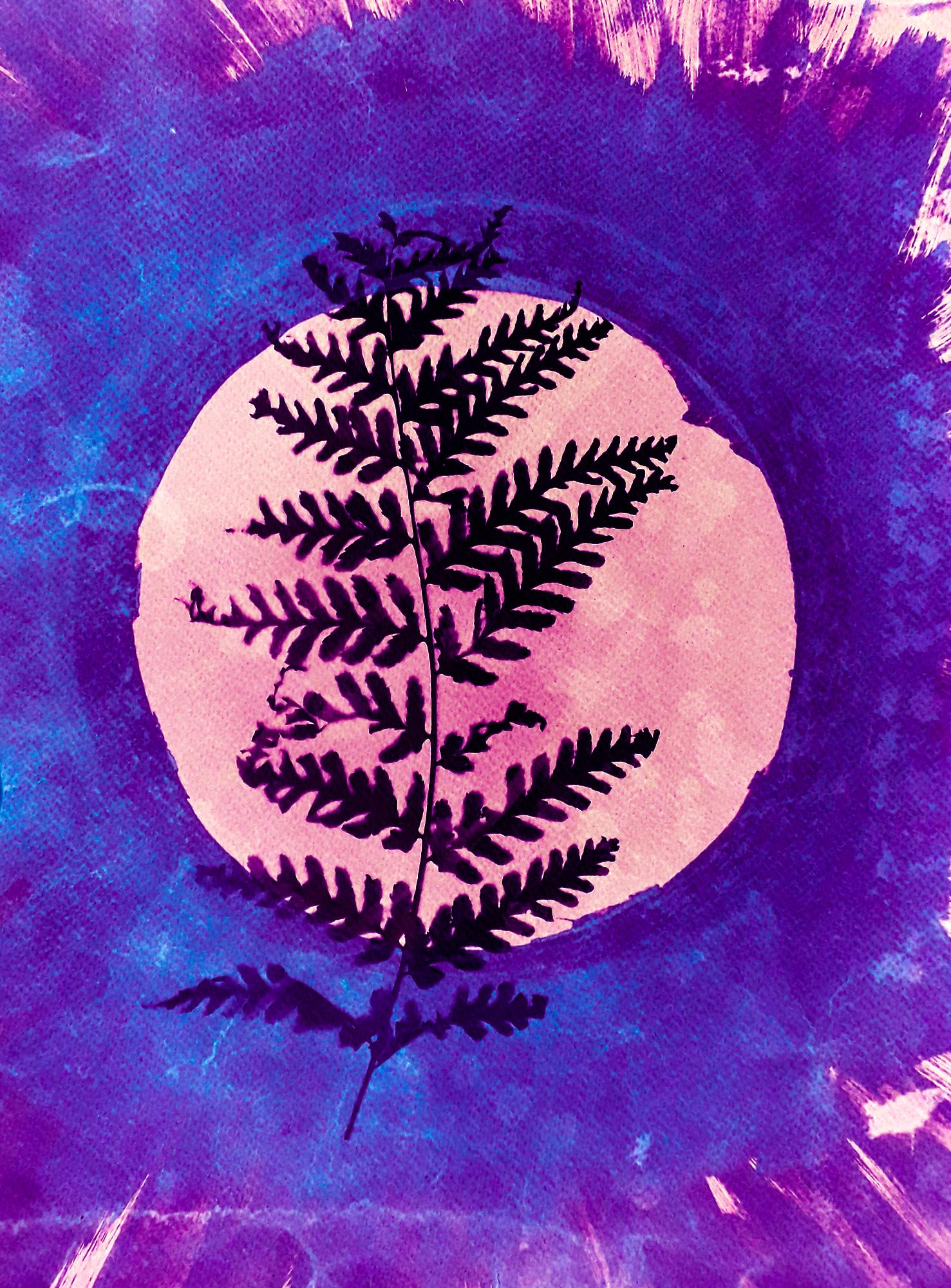How to tea tone a cyanotype print - Maverick Beyond