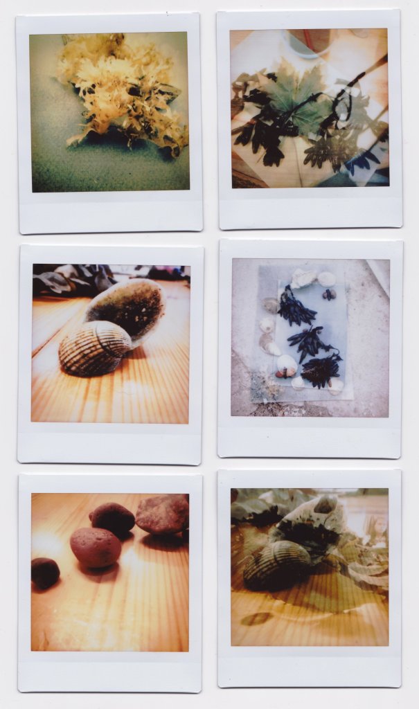 Cyanotype, roid lifts, and so much more – Maverick Beyond