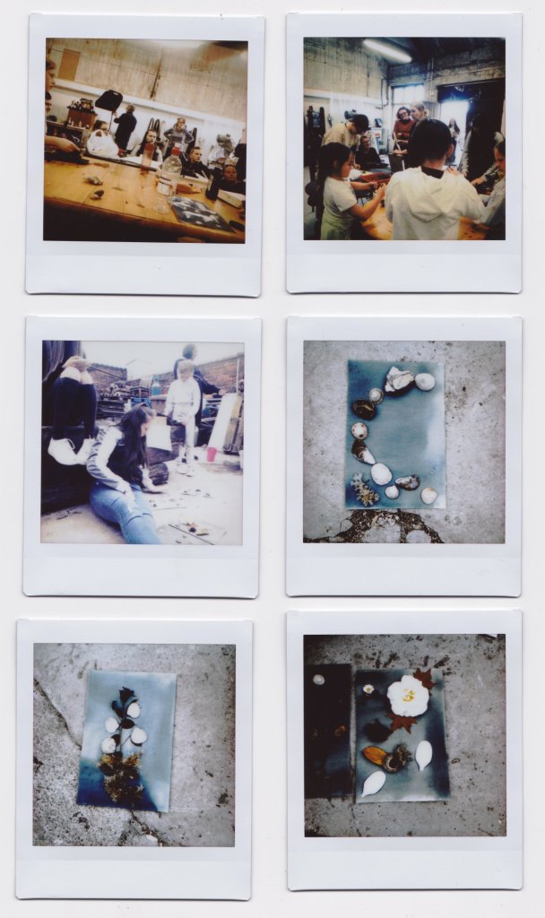 Cyanotype, roid lifts, and so much more – Maverick Beyond